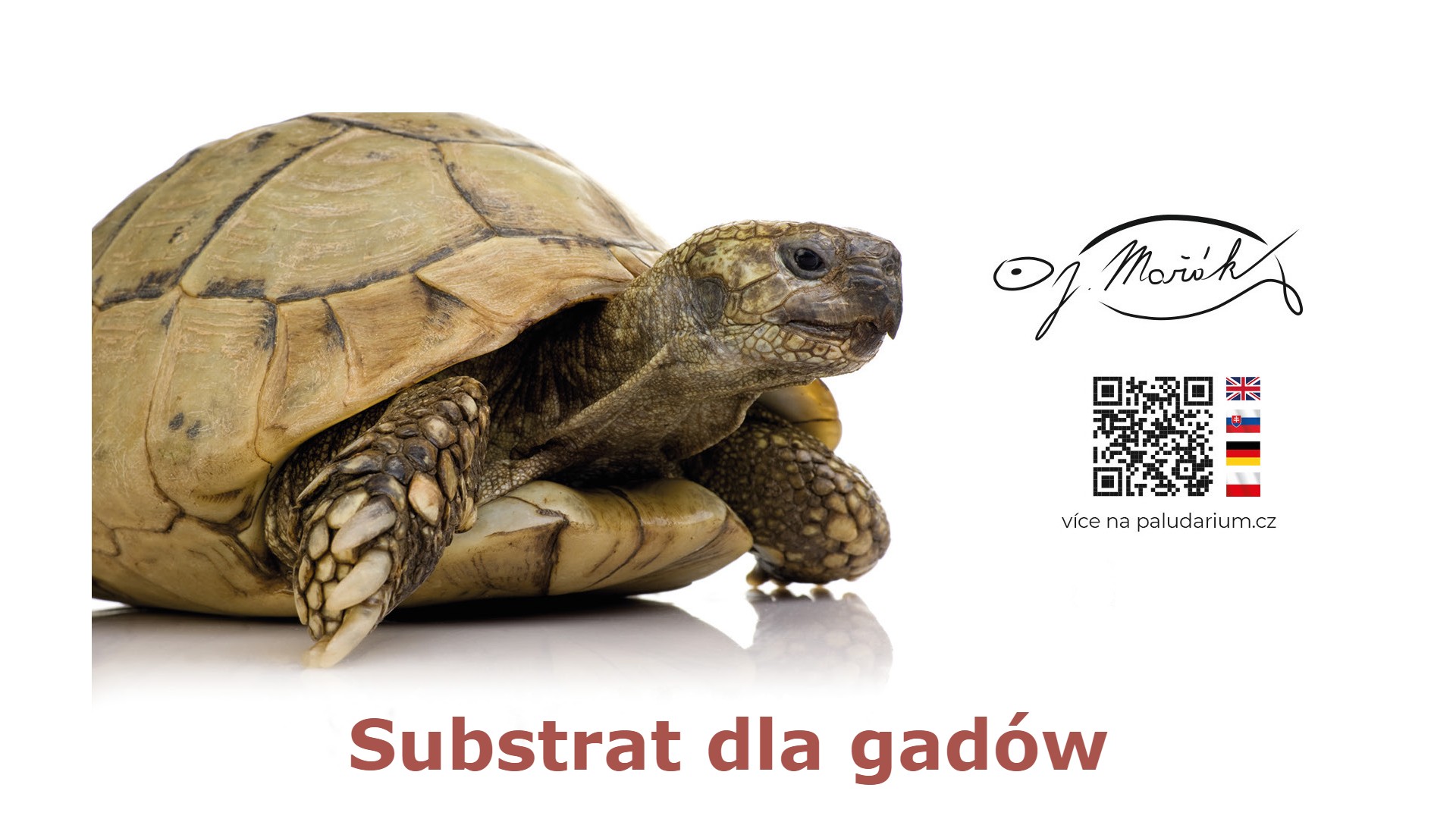 Podłoże dla żółwi Marak - Terrahurt - Dystrybutor